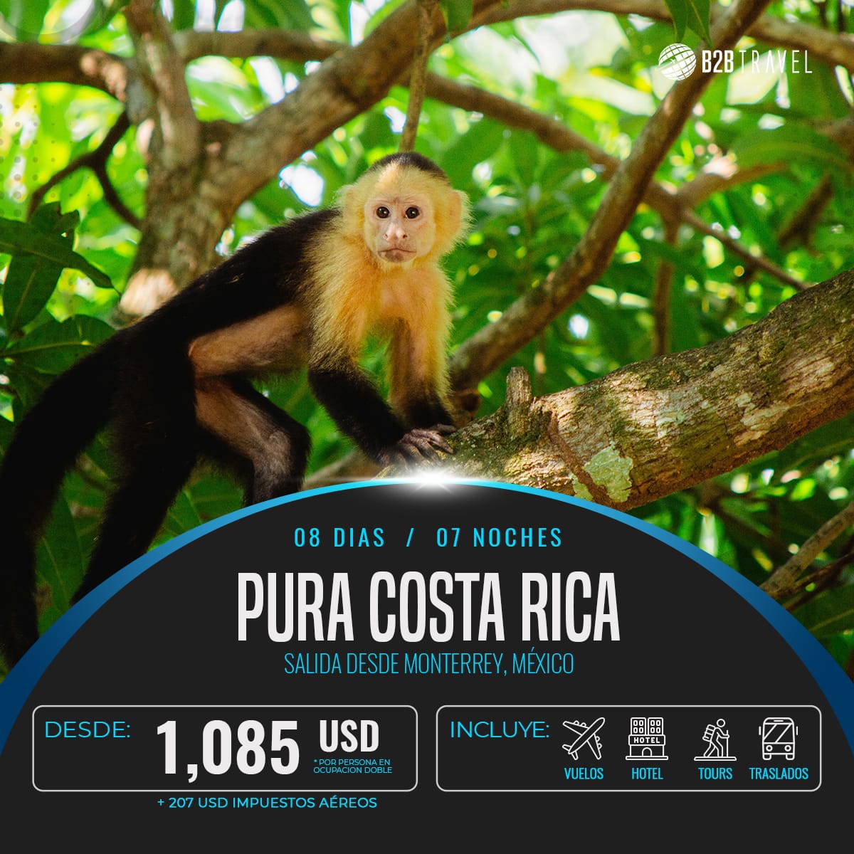 PURA COSTA RICA DESDE MONTERREY - B2B Travel Latinoamérica | Operador ...